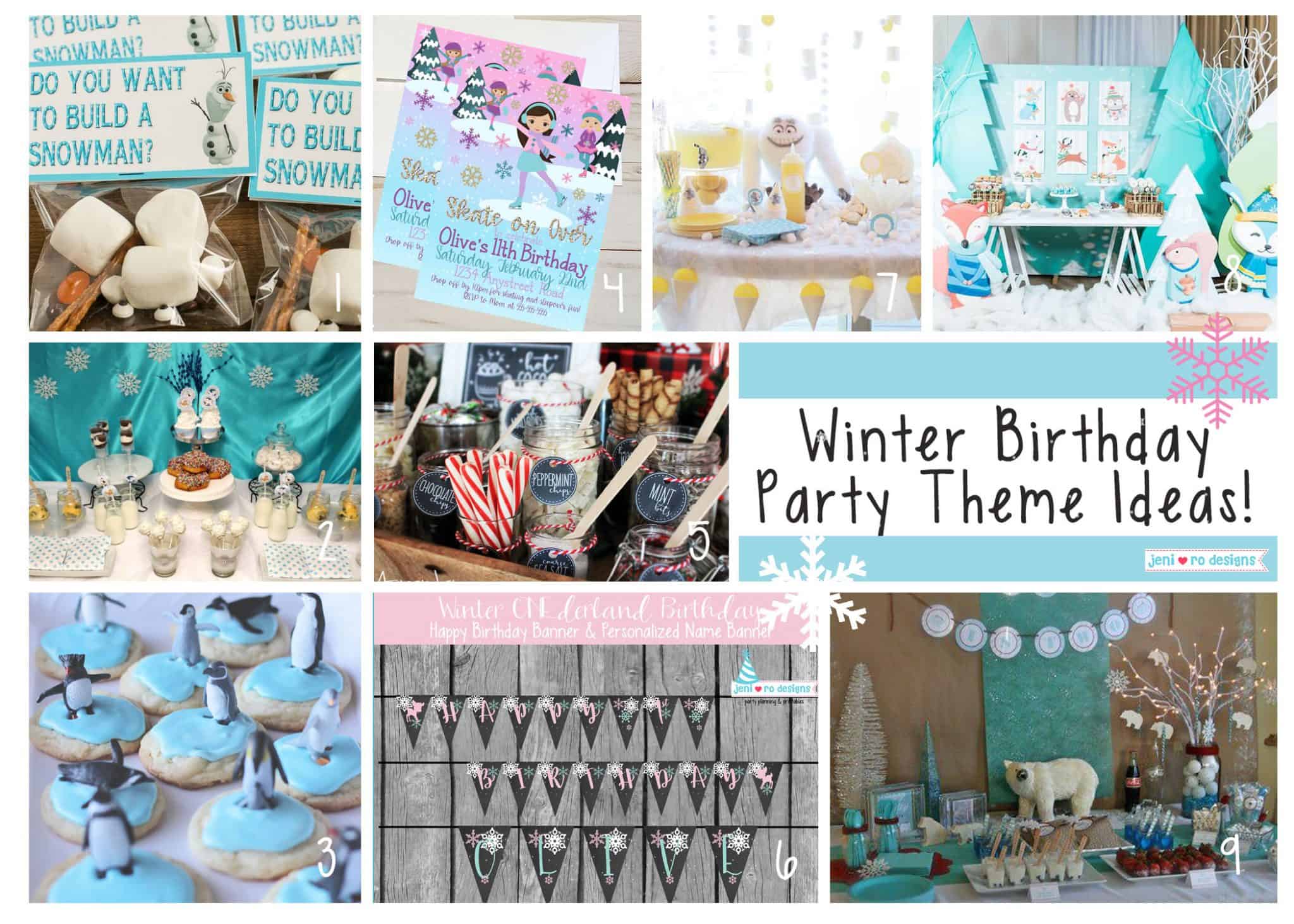 Winter Birthday Theme Ideas • jeni ro designs