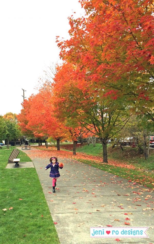 Family Field Trip Ideas for Virtual Learners this Fall season!