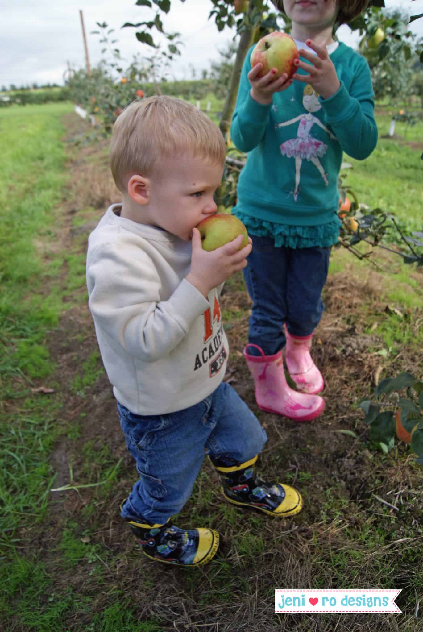 Family Field Trip Ideas for Virtual Learners this Fall season!